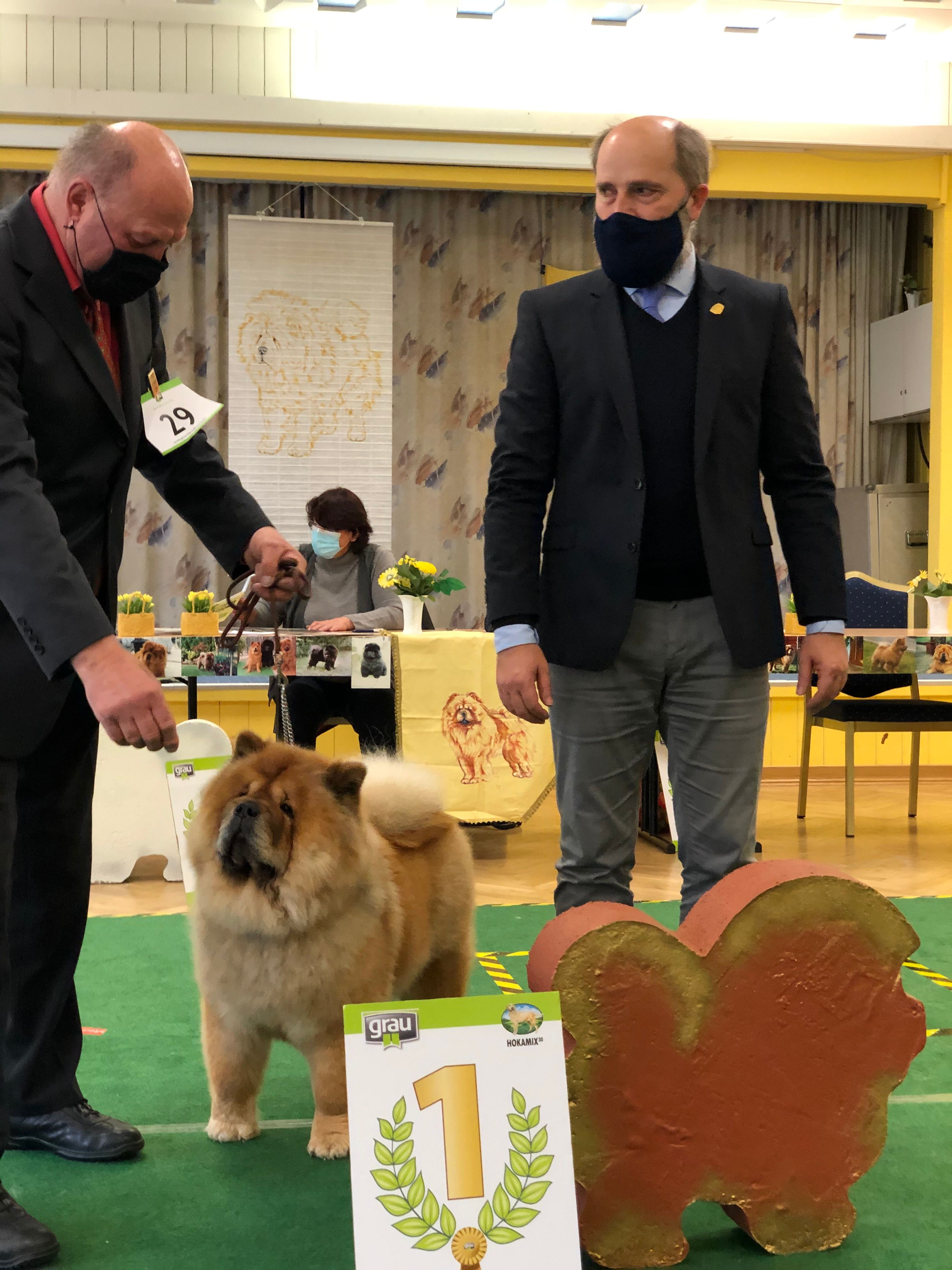 Chow-Chow-Club in Deutschland - Termine / Club / Shows